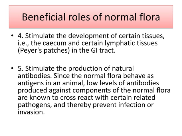 Normal flora | PDF | Skin and Dermatology | Diseases and Conditions