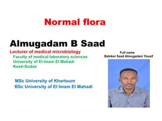 Normal flora | PDF