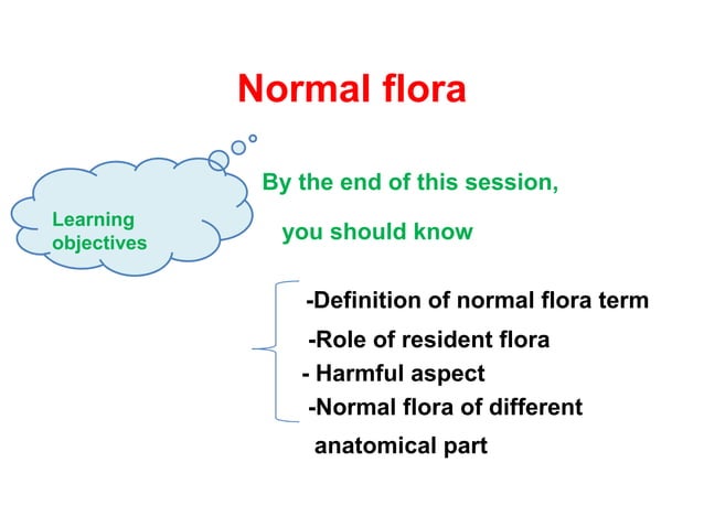 Normal flora | PDF