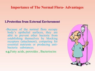 Normal flora by manoj | PPT