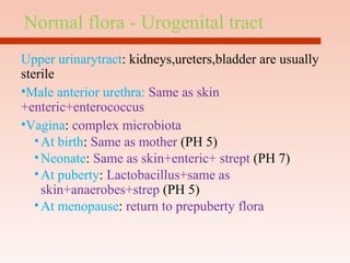 Normal flora by manoj | PPT