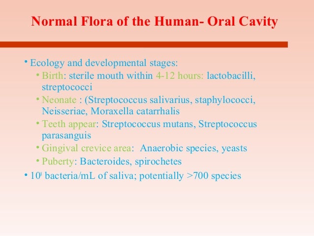 Normal flora by manoj
