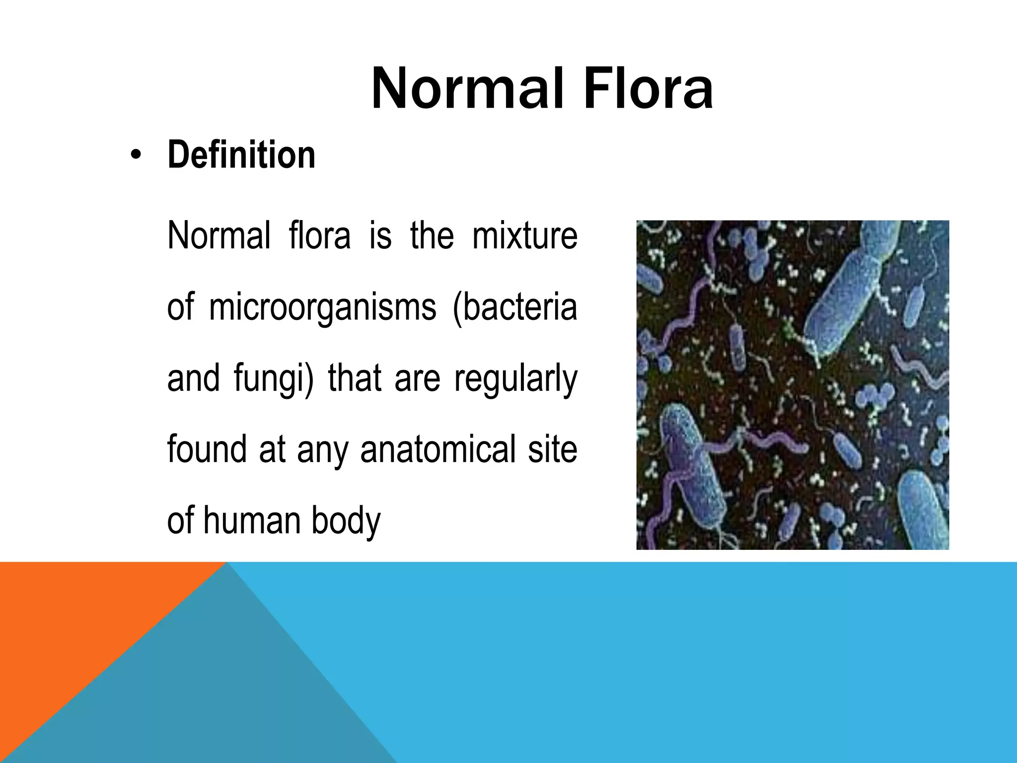 Normal flora of Skin | PPTX