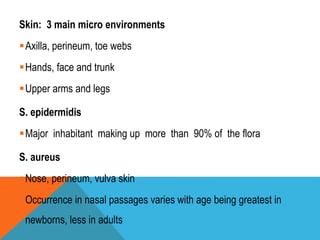 Normal flora of Skin | PPTX