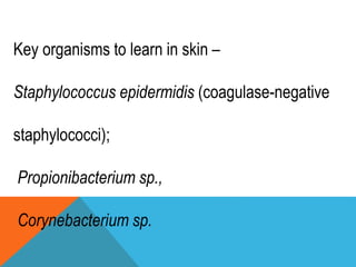 Normal flora of Skin | PPTX