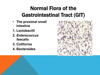 Normal flora of Skin | PPTX
