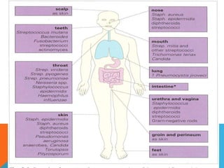 Normal flora of Skin | PPTX