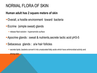 Normal flora of Skin | PPTX