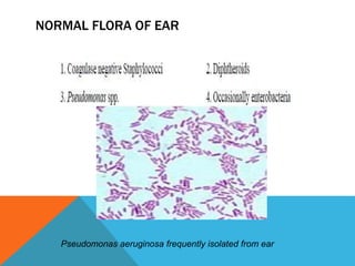 Normal flora of Skin | PPT