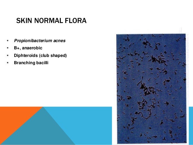 Normal flora of Skin