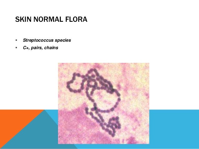 Normal flora of Skin