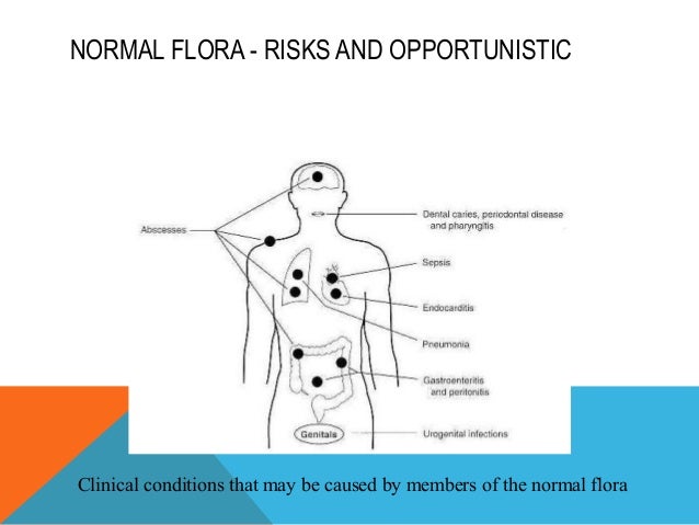 Normal flora of Skin