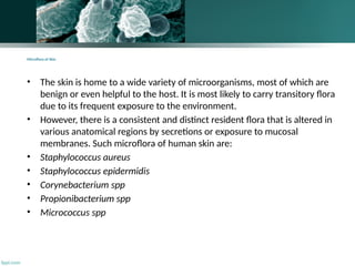 Normal flora present inside human body | PPTX