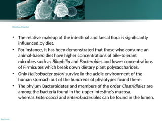 Normal flora present inside human body | PPTX