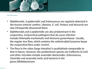Normal flora present inside human body | PPTX