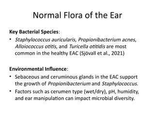 Normal Flora of ENT (Ear, Nose and Throat).pptx