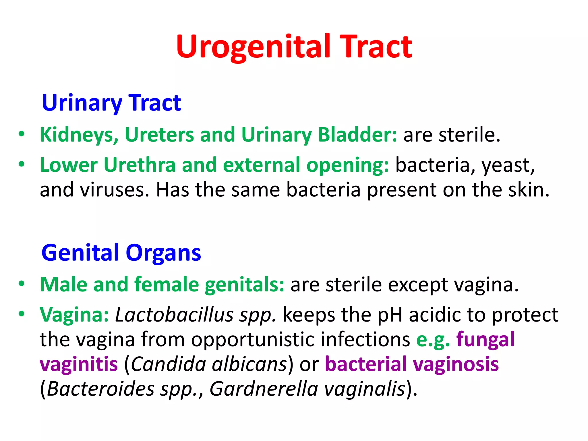 Normal Flora of Human Body-1.ppt