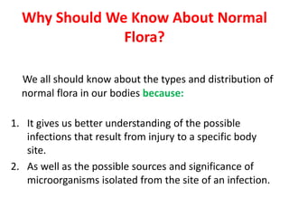 Normal Flora of Human Body-1.ppt