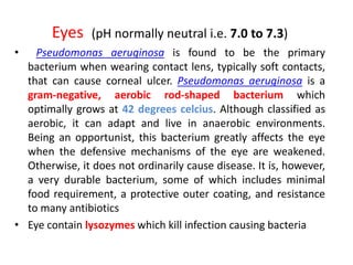 Normal Flora of Human Body-1.ppt