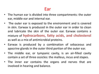 Normal Flora of Human Body-1.ppt