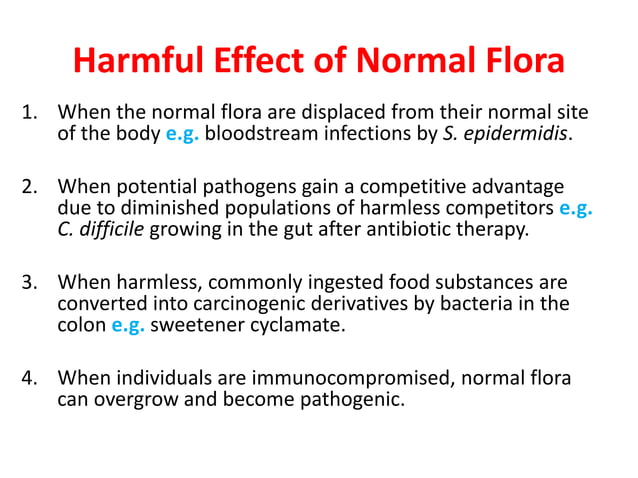 Normal Flora of Human Body-1.ppt