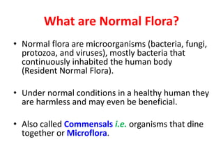 Normal Flora of Human Body-1.ppt