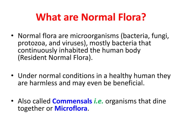 Normal Flora of Human Body-1.ppt