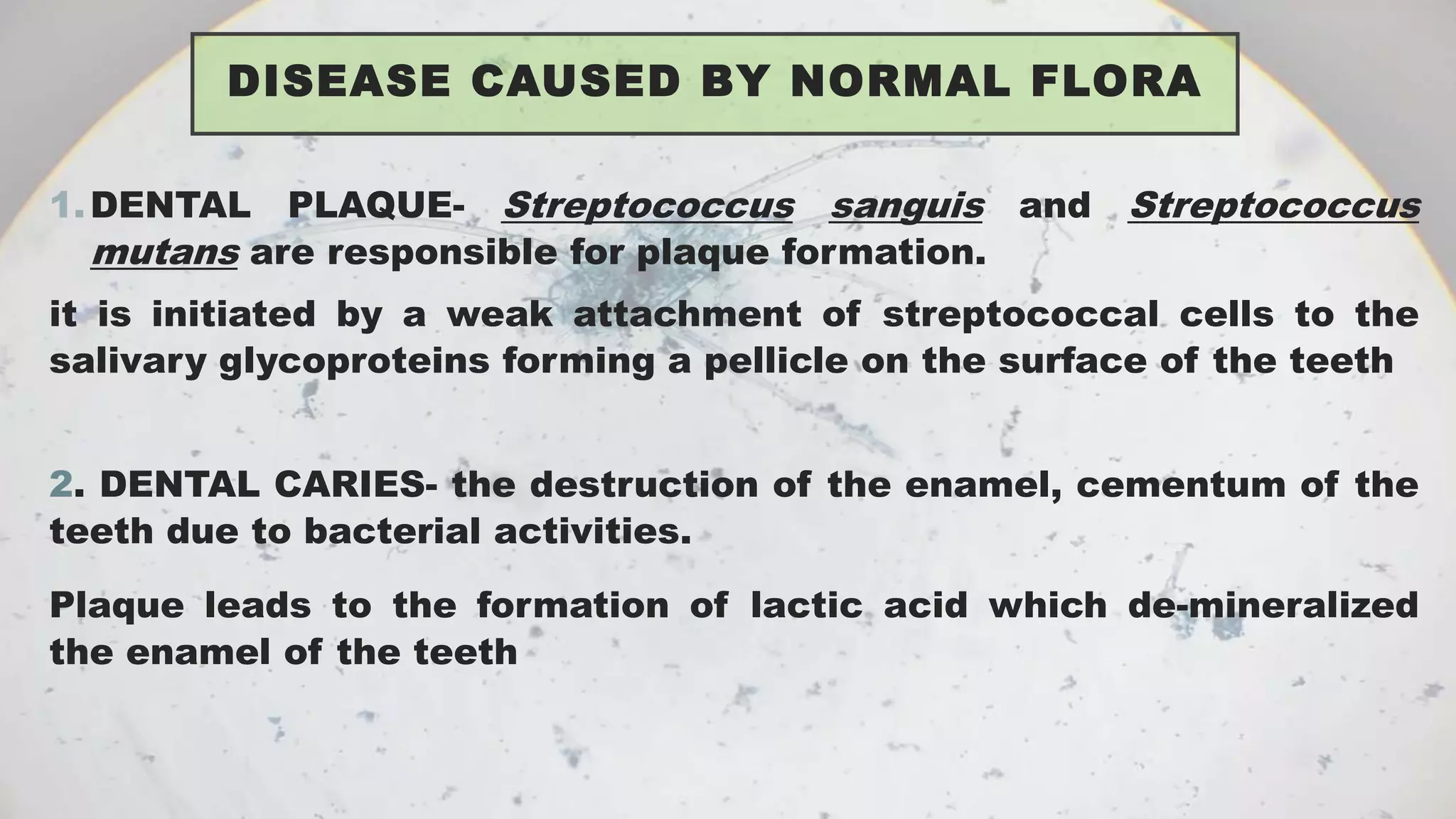 Normal flora of human body by Pranzly.pptx