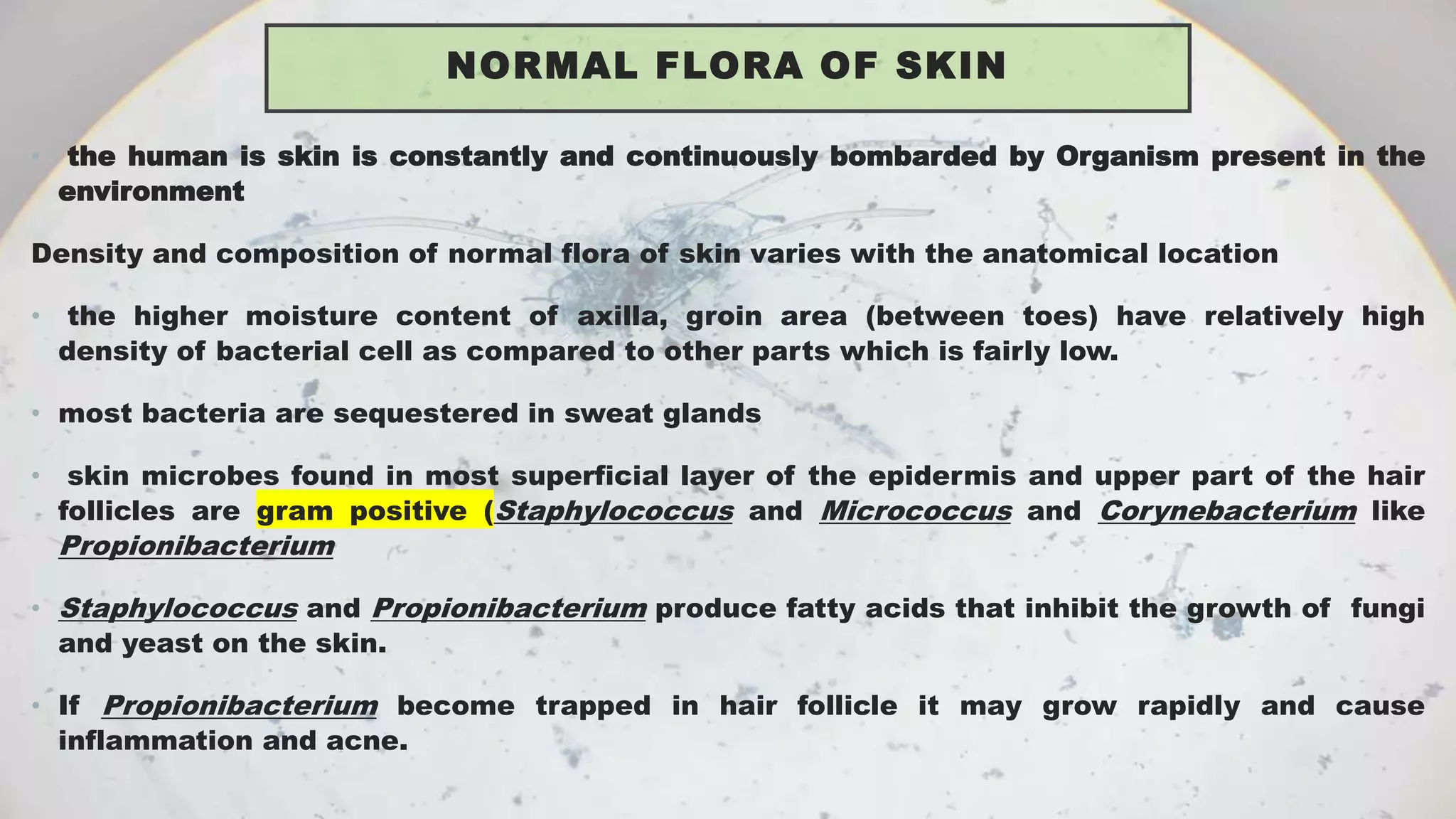 Normal flora of human body by Pranzly.pptx