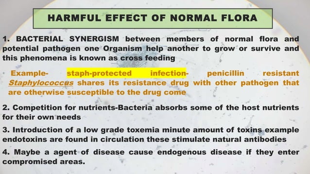 Normal flora of human body by Pranzly.pptx
