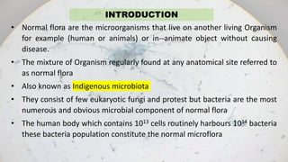 Normal flora of human body by Pranzly.pptx