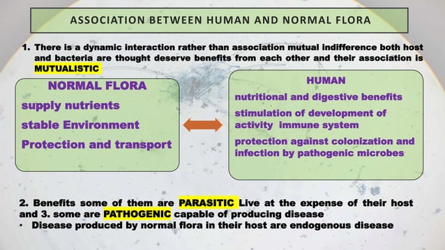 Normal flora of human body by Pranzly.pptx