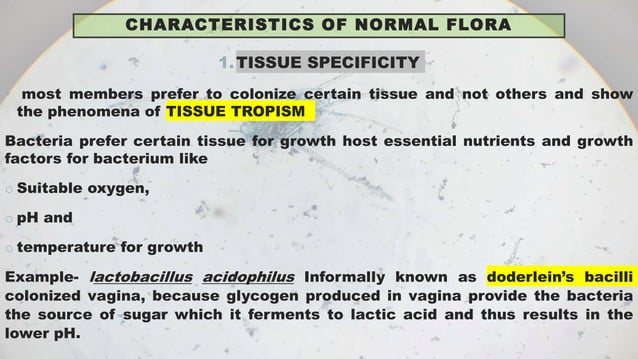 Normal flora of human body by Pranzly.pptx