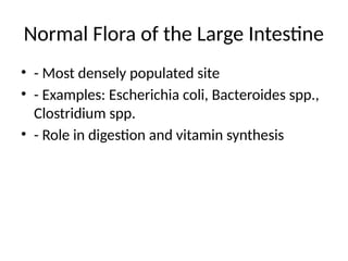 Normal_Flora_of_Human_Body Microbiology.pptx
