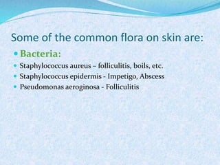 Normal flora of skin | PDF
