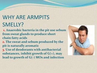 Normal flora of skin | PDF