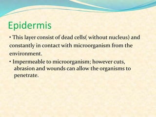 Normal flora of skin | PDF