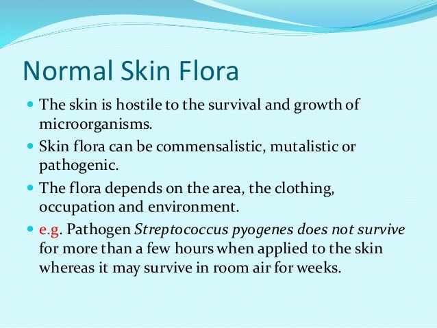 Normal flora of skin