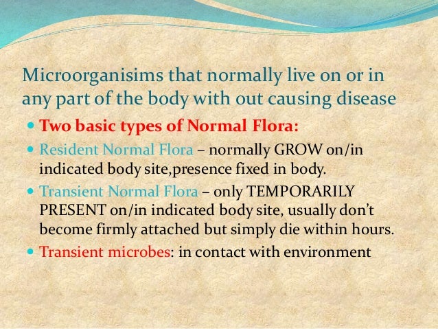 Normal flora of skin