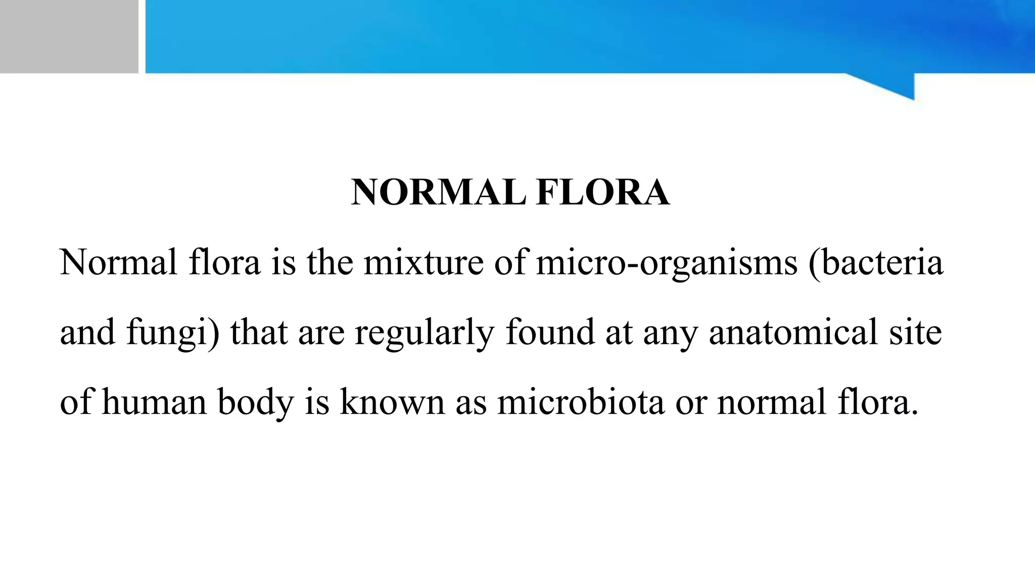 Normal Flora of the Body.pptx