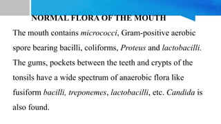 Normal Flora of the Body.pptx