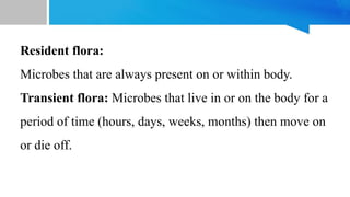 Normal Flora of the Body.pptx
