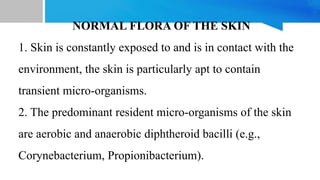 Normal Flora of the Body.pptx