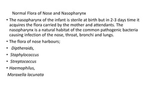 NORMAL FLORA OF THE HUMAN BODY.pptx