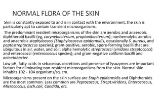 NORMAL FLORA OF THE HUMAN BODY.pptx