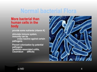 Normal flora (rby) | PPT