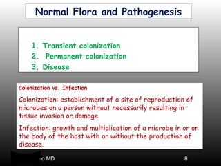 Normal flora (rby) | PPT
