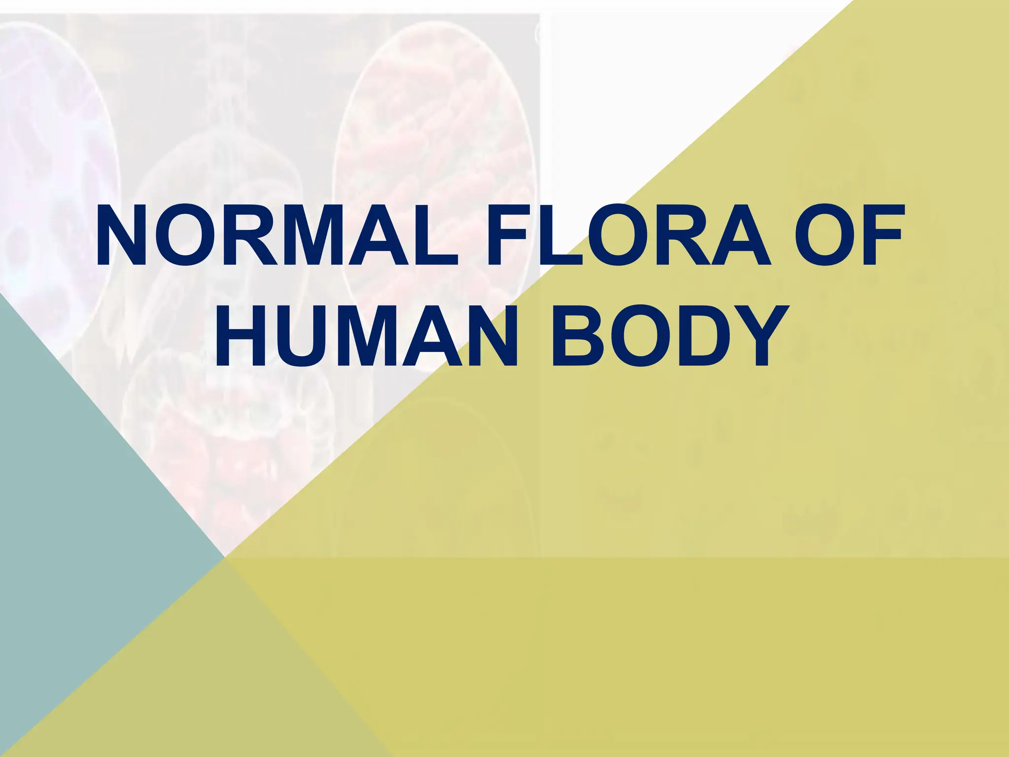 normal floura of human body skin, digective and respiratory system | PPTX