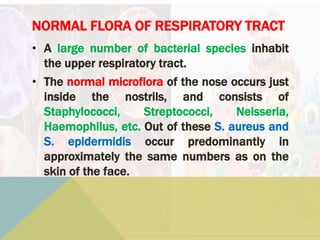 normal floura of human body skin, digective and respiratory system | PPTX