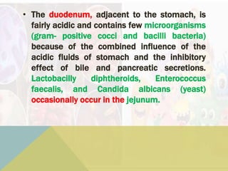 normal floura of human body skin, digective and respiratory system | PPTX